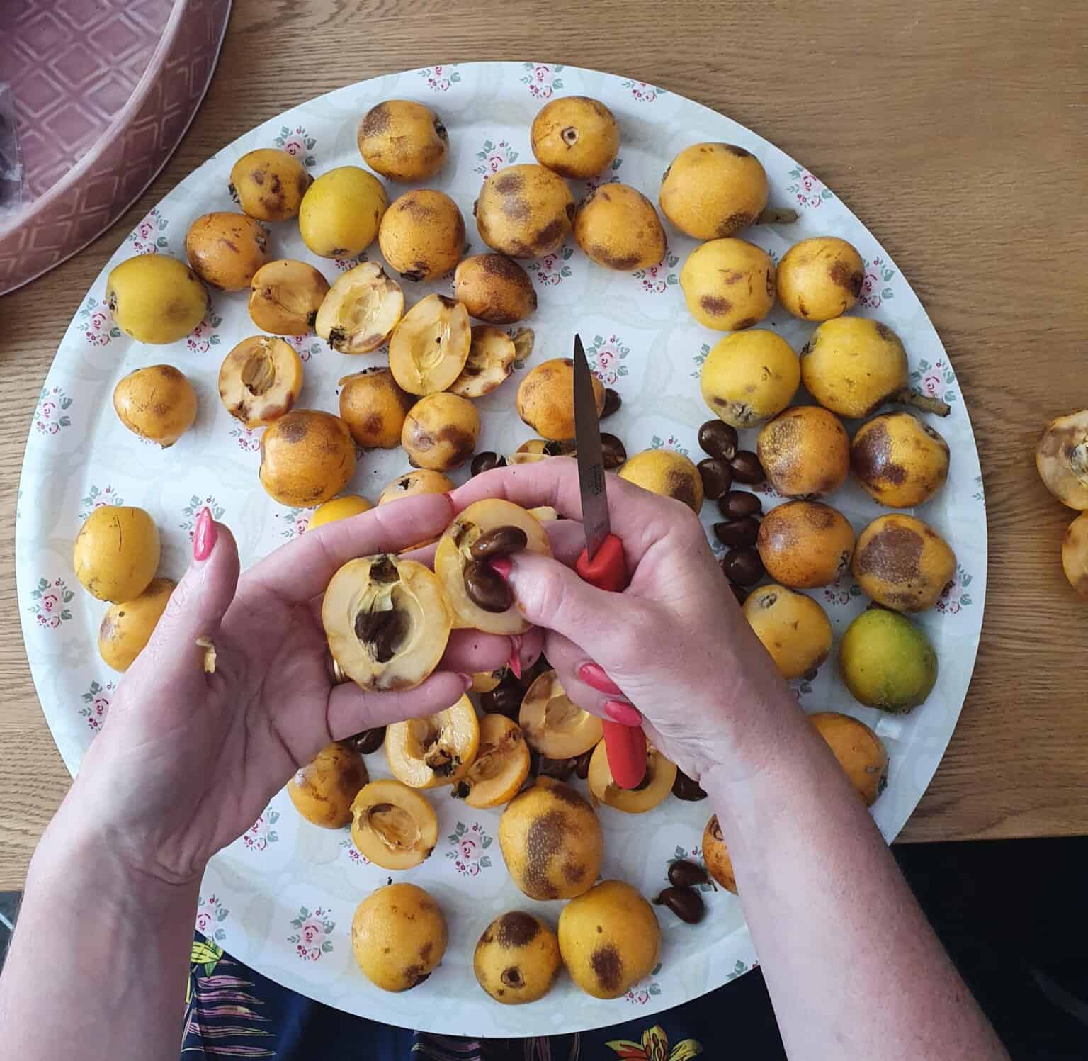 Nespolino …. from the humble nespra fruit – Carmela's Kitchen